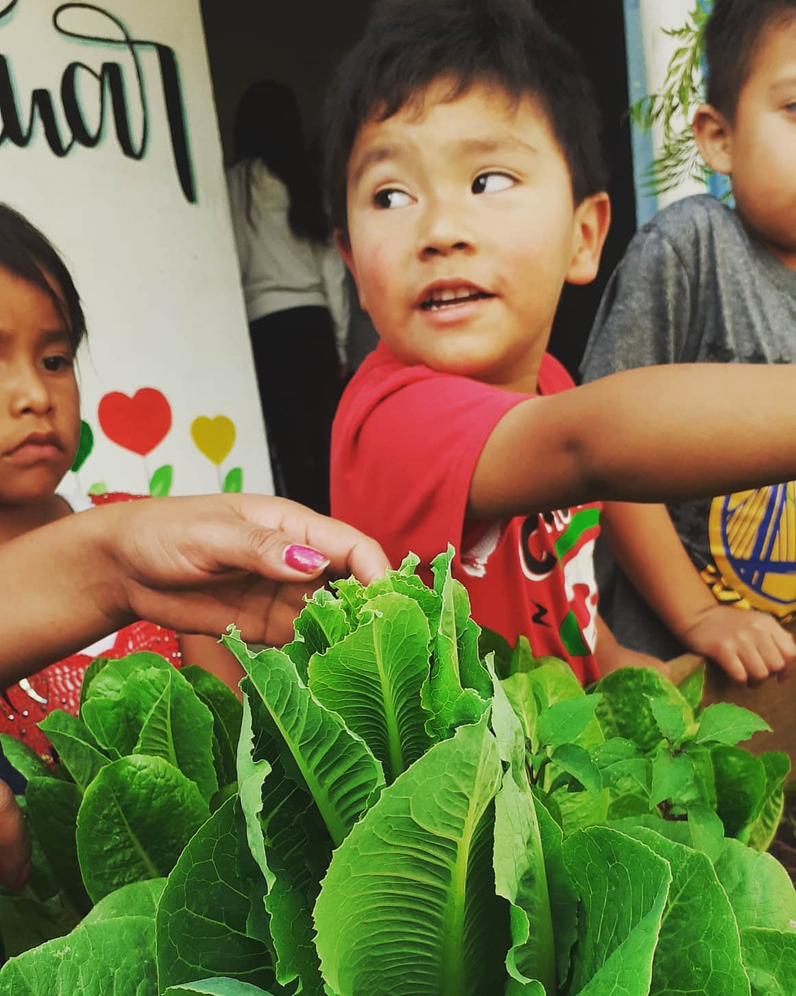 Asociación comunitaria Alcance